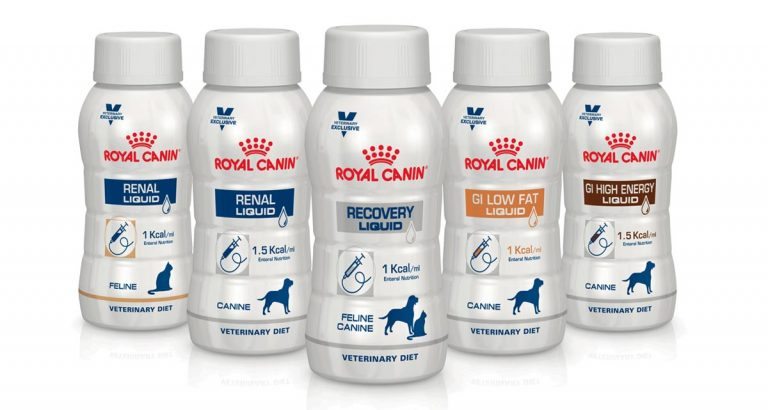 Royal Canin Liquid Recovery 4 Pack Alimento por Sonda para Perros y Ga ...