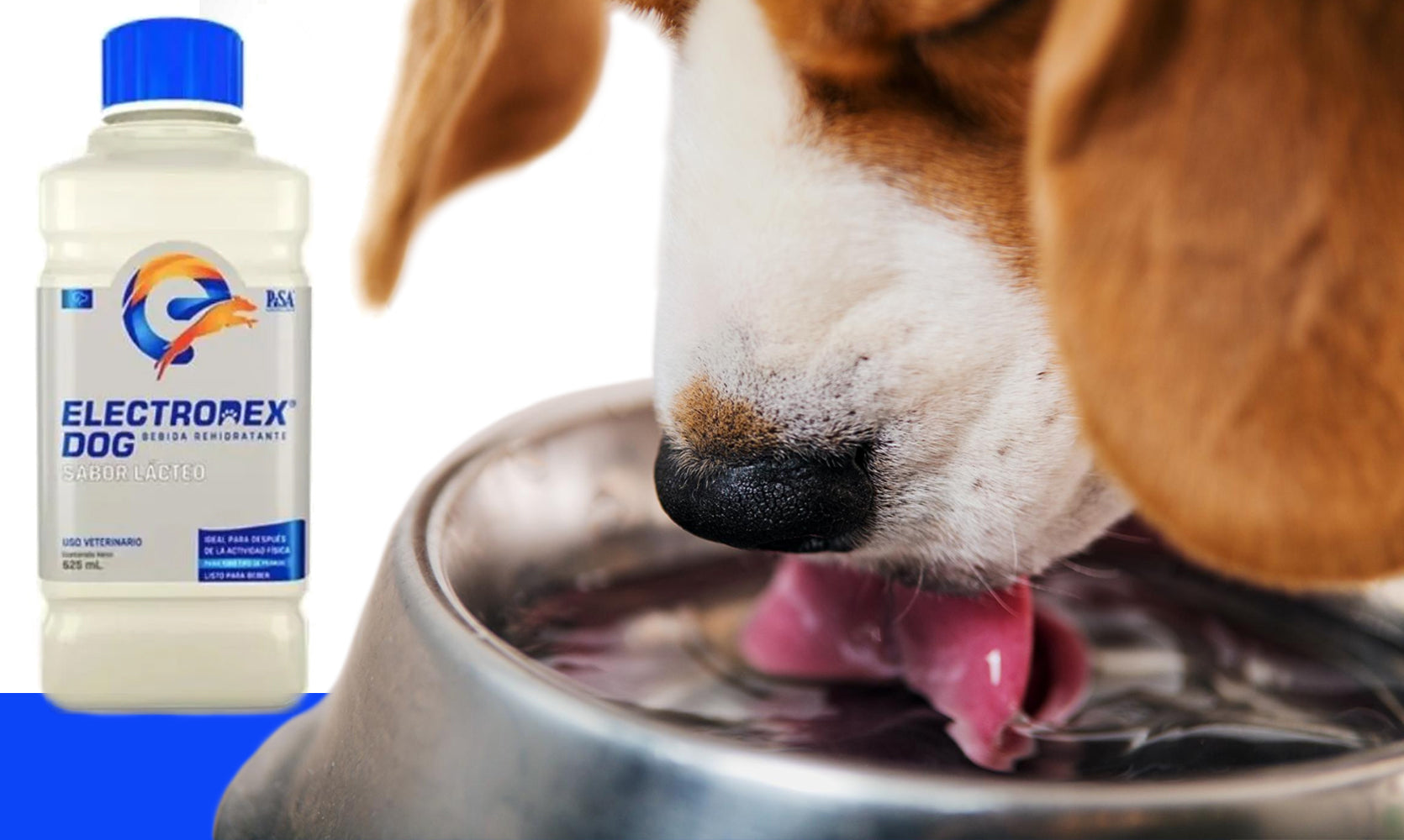 Electrodex Dog Suero Rehidratante con Electrolitos y Sabores para tu P ...